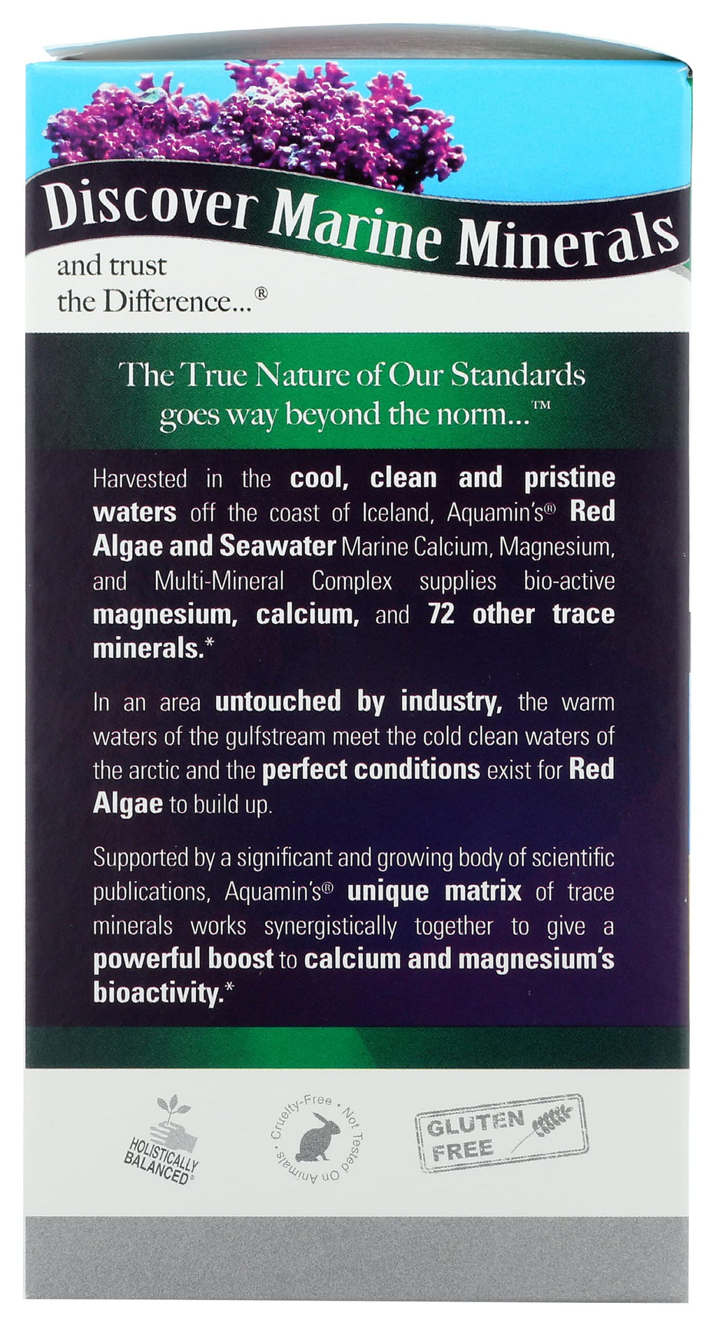 plant based calcium for health