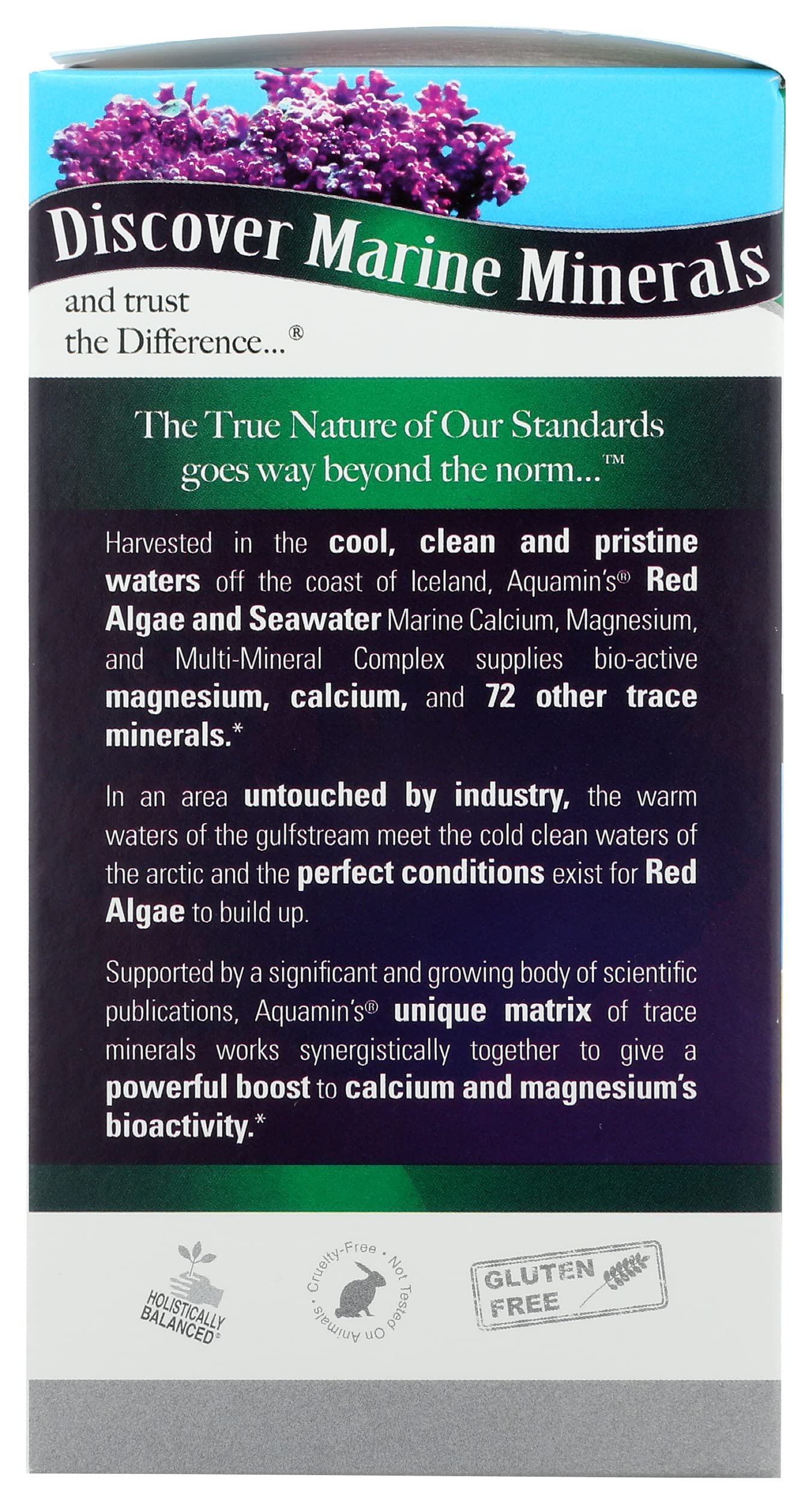 plant based calcium for health
