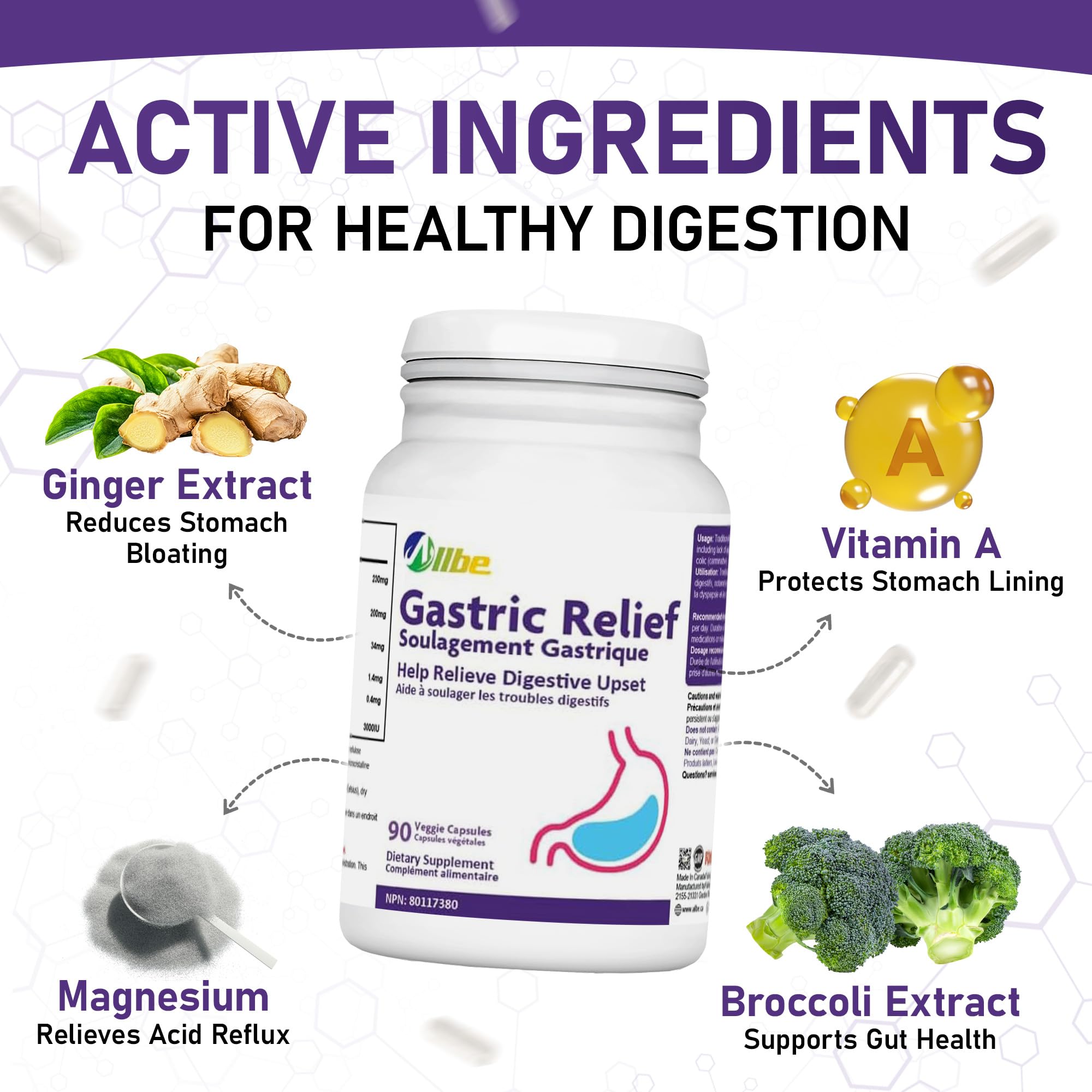 plant-based capsules for digestive aid
