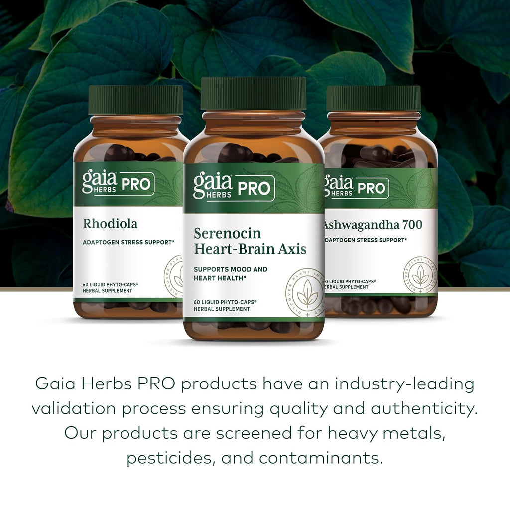 plant-based capsules for holistic wellness