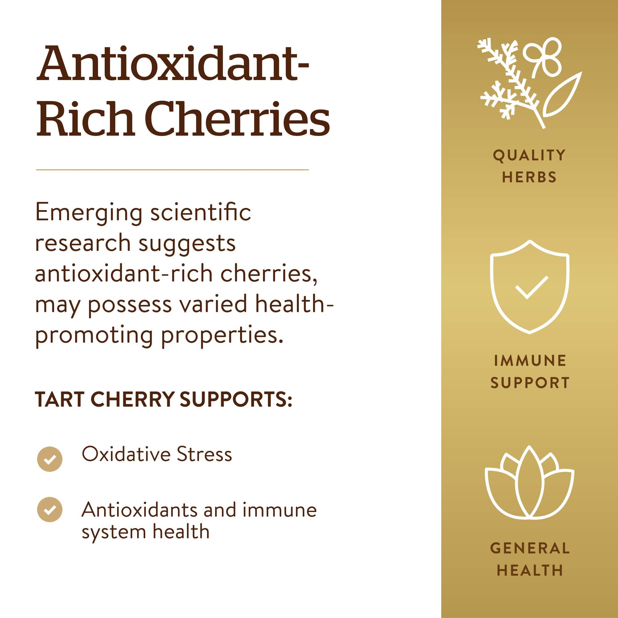 plant-based capsules for nausea