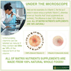 plant-based capsules for oxidative stress
