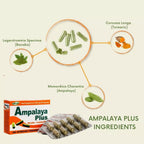 plant-based capsules for wellness