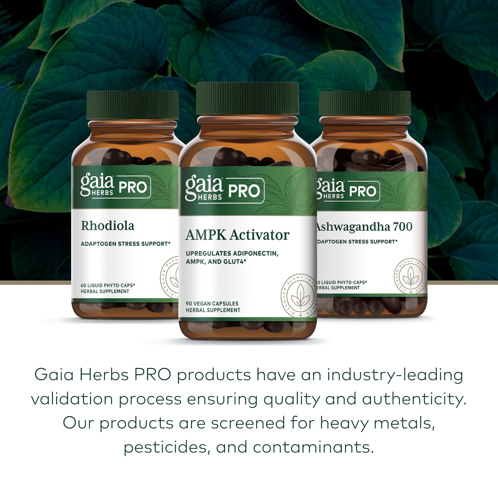 plant-based capsules for wellness