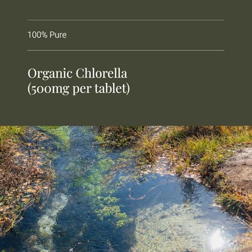 plant-based chlorella for better digestion