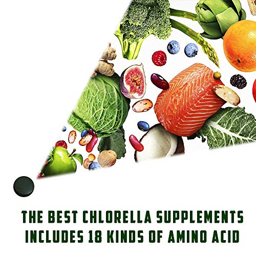 plant-based chlorella for fitness