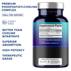 Plant-based choline supplement for cognitive support