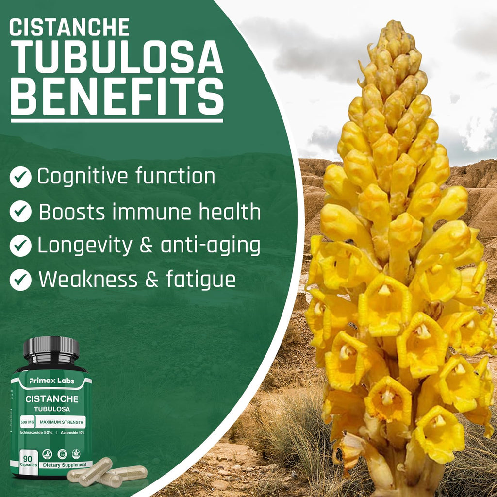 plant-based Cistanche Tubulosa benefits