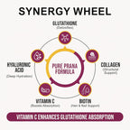 plant-based collagen builder supplement