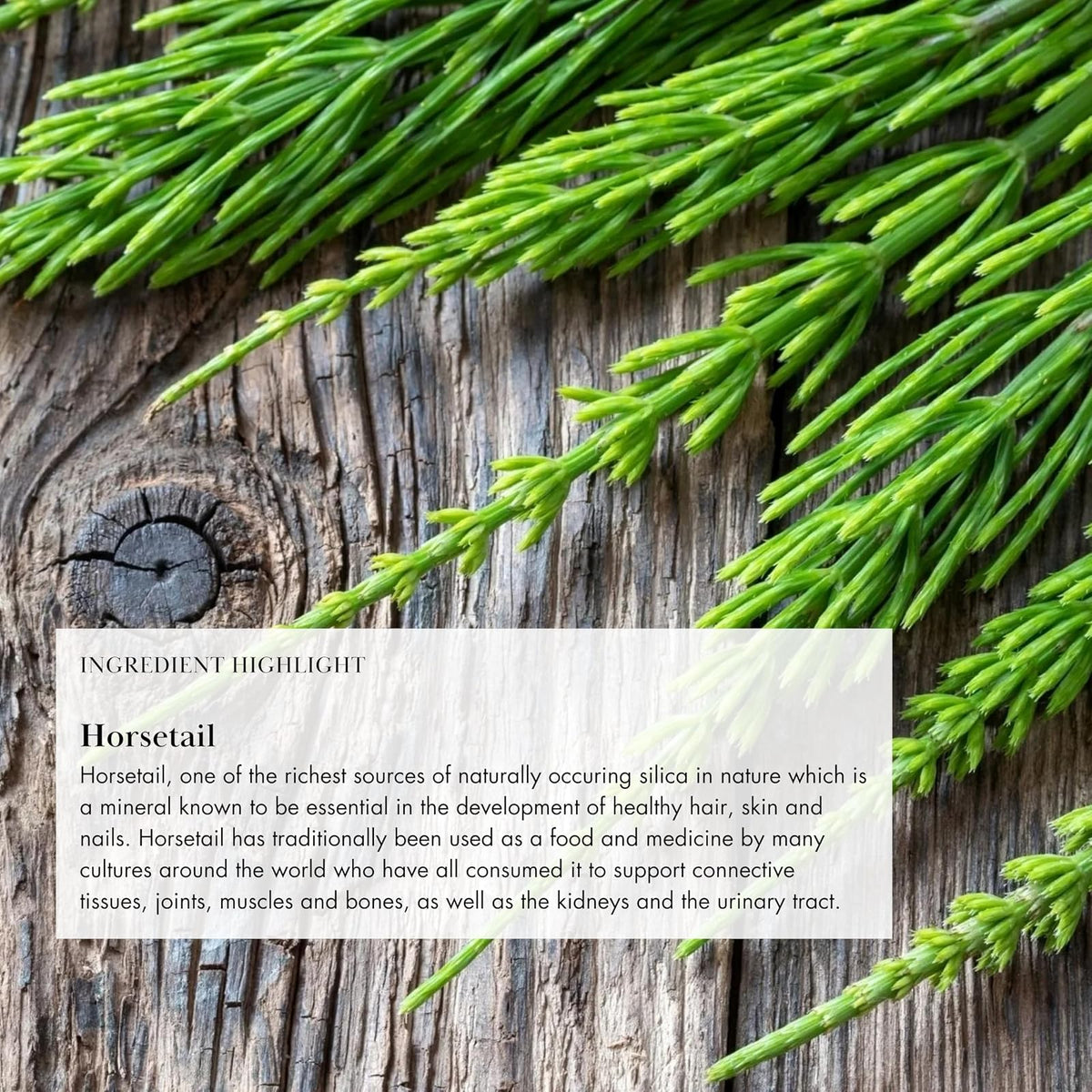 plant-based collagen peptides blend