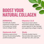 plant-based collagen superfoods blend
