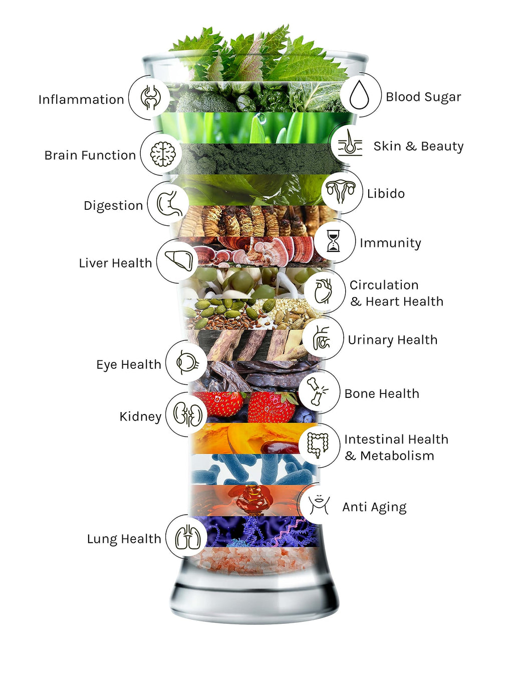 plant-based daily nutrition supplement