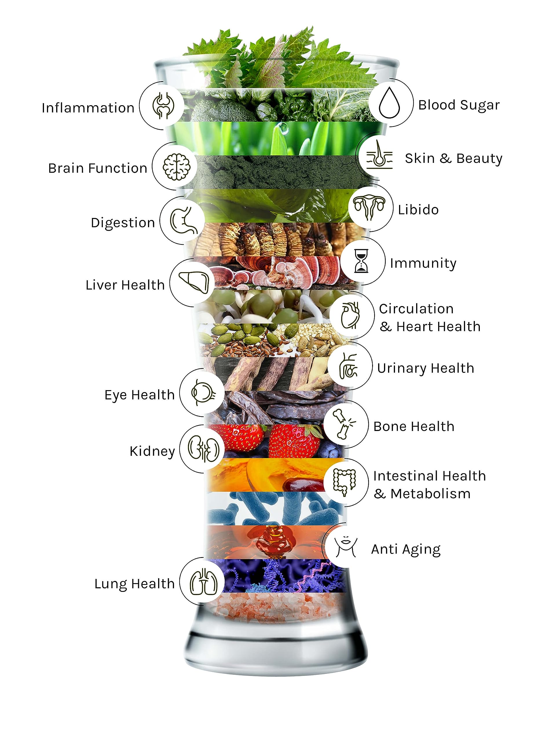 plant-based daily nutrition supplement