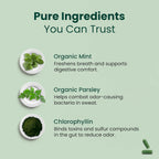 plant-based deodorizing solution