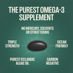 plant-based DHA for daily wellness