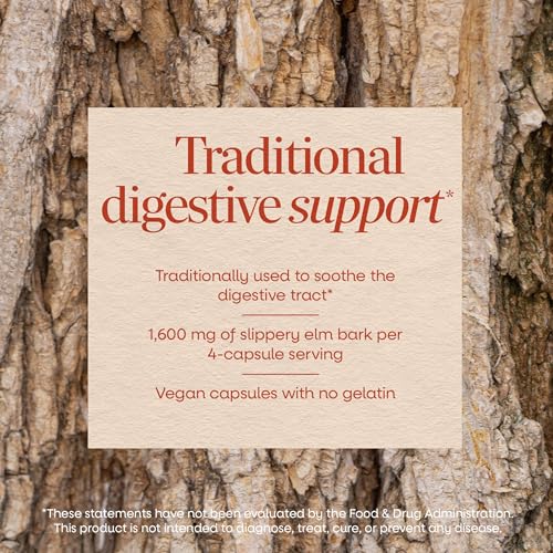 Plant-based digestive aid capsules