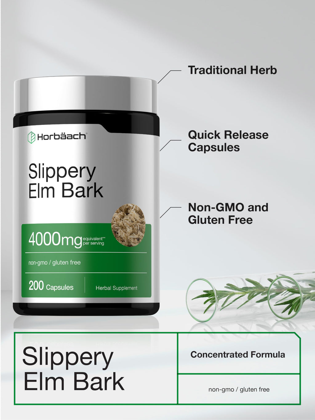 plant-based digestive aid supplement