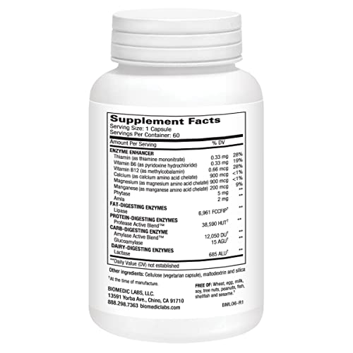 plant-based digestive enzymes for digestion