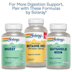 plant-based digestive enzymes for gut health