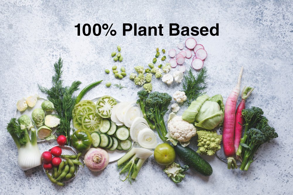 plant-based digestive enzymes for optimal digestion