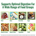plant-based digestive enzymes for wellness
