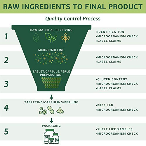 plant-based digestive enzymes formula