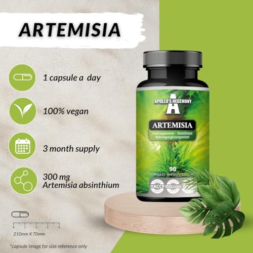 plant-based digestive health support