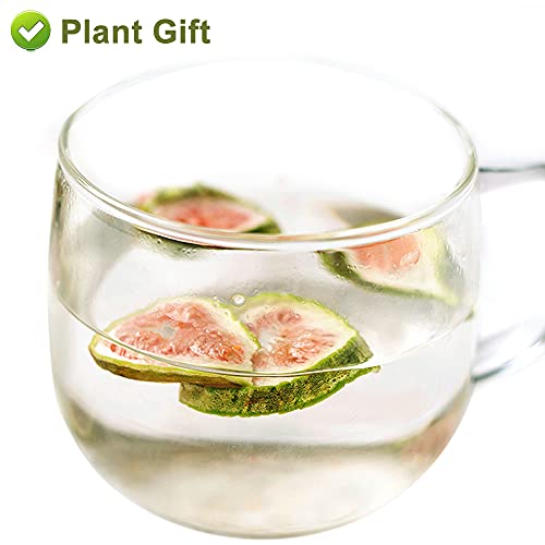 plant-based dried fruit option