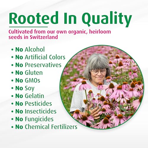 plant-based echinacea for immune strength