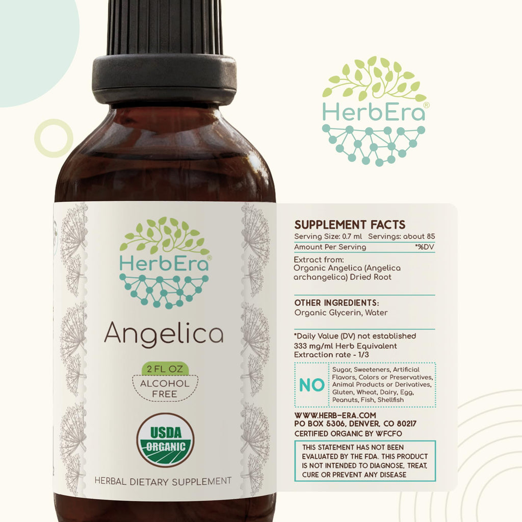 plant-based echinacea supplement benefits