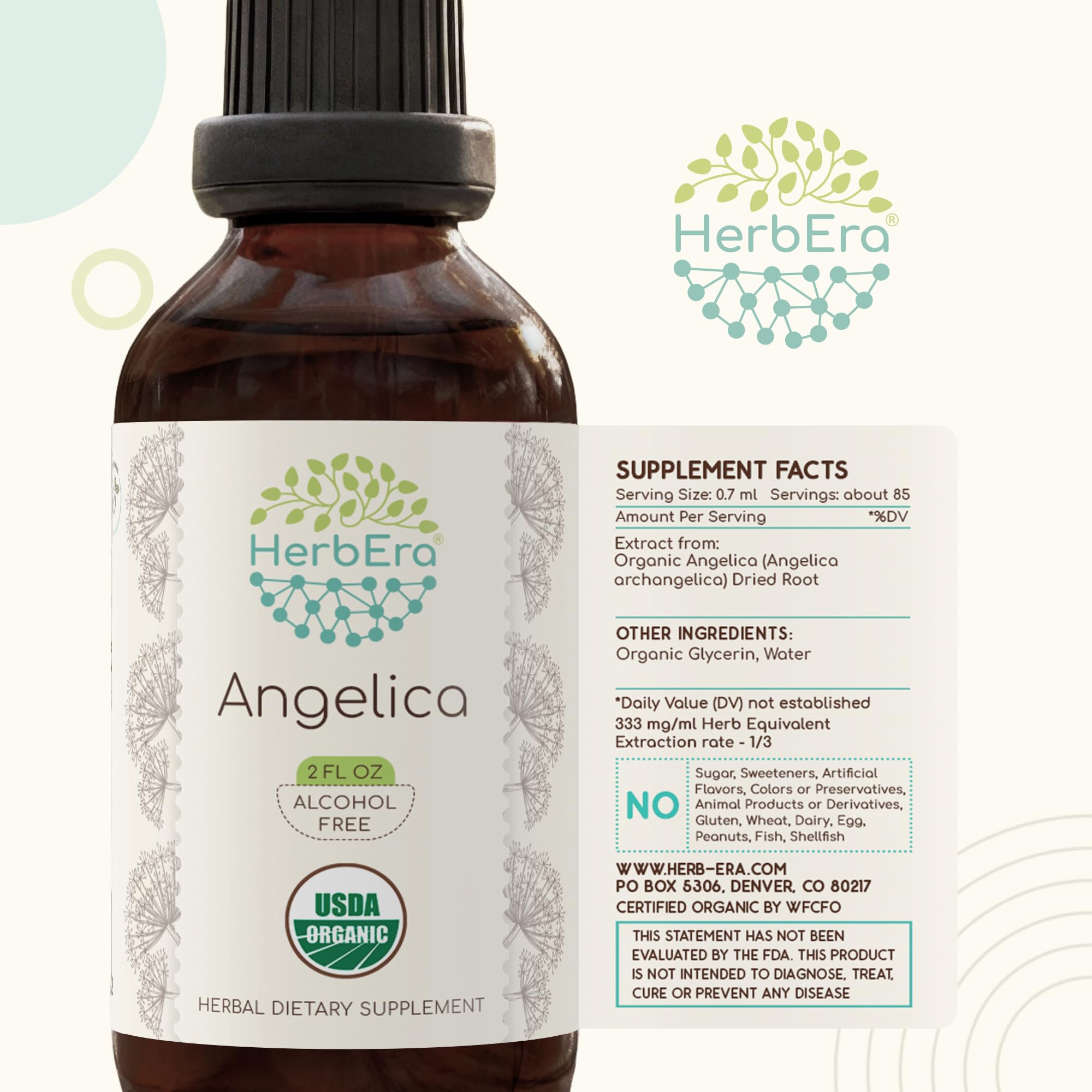 plant-based echinacea supplement benefits