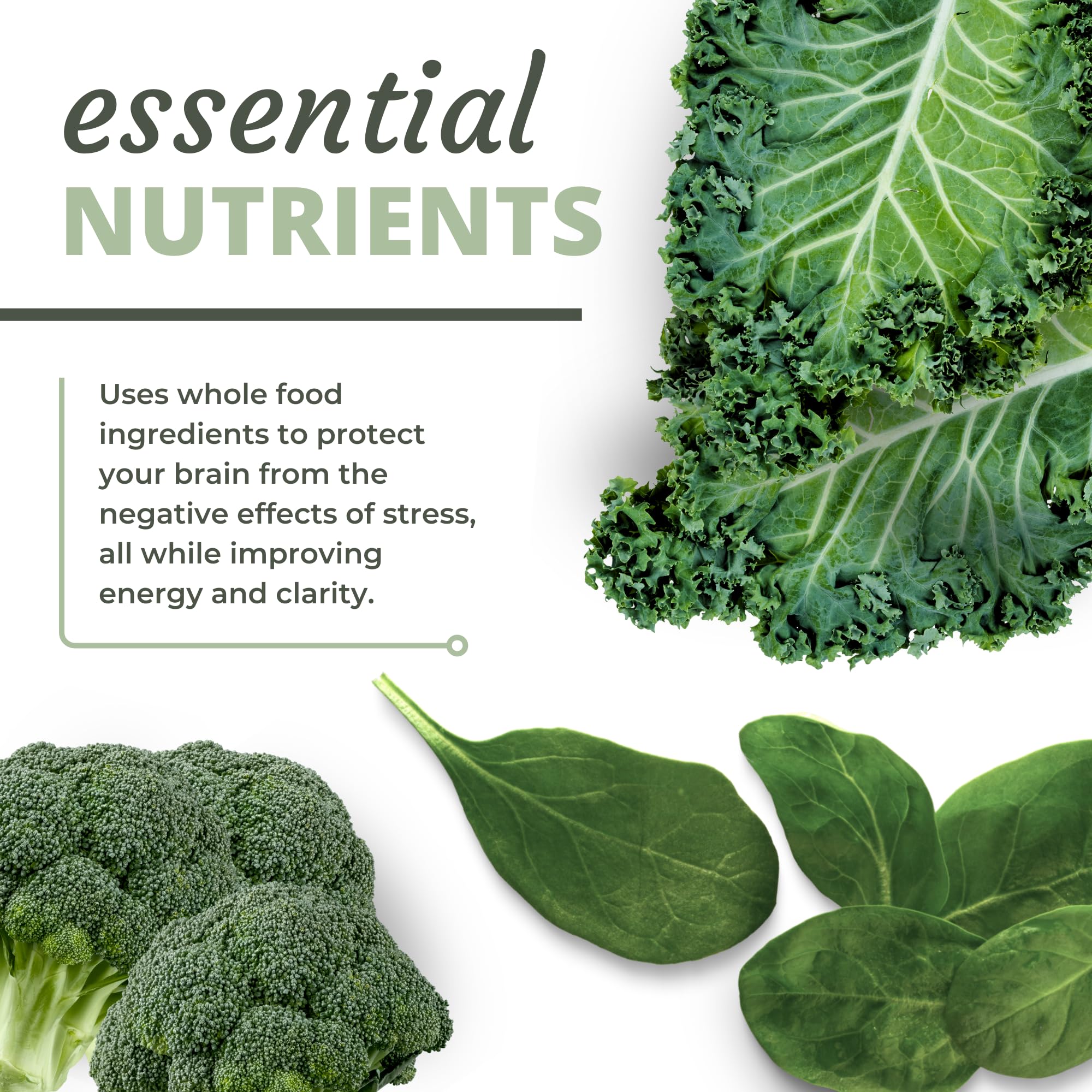 plant-based energy and wellness