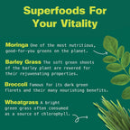 plant-based energy boost powder