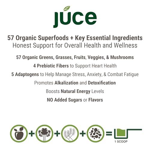 plant-based energy boost powder