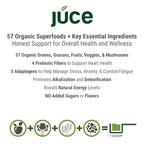 plant-based energy boost powder
