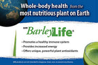plant-based energy boost with barley