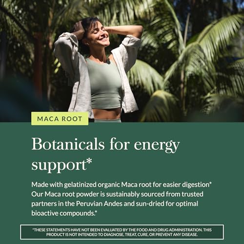 plant-based energy supplement powder