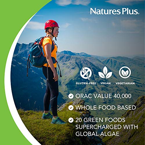 plant-based energy supplement powder