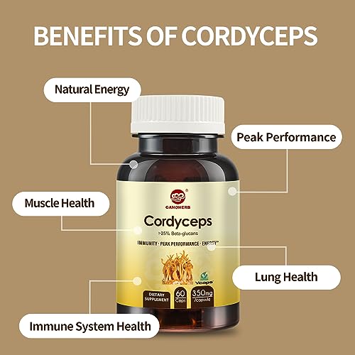 plant-based energy supplement with mushrooms