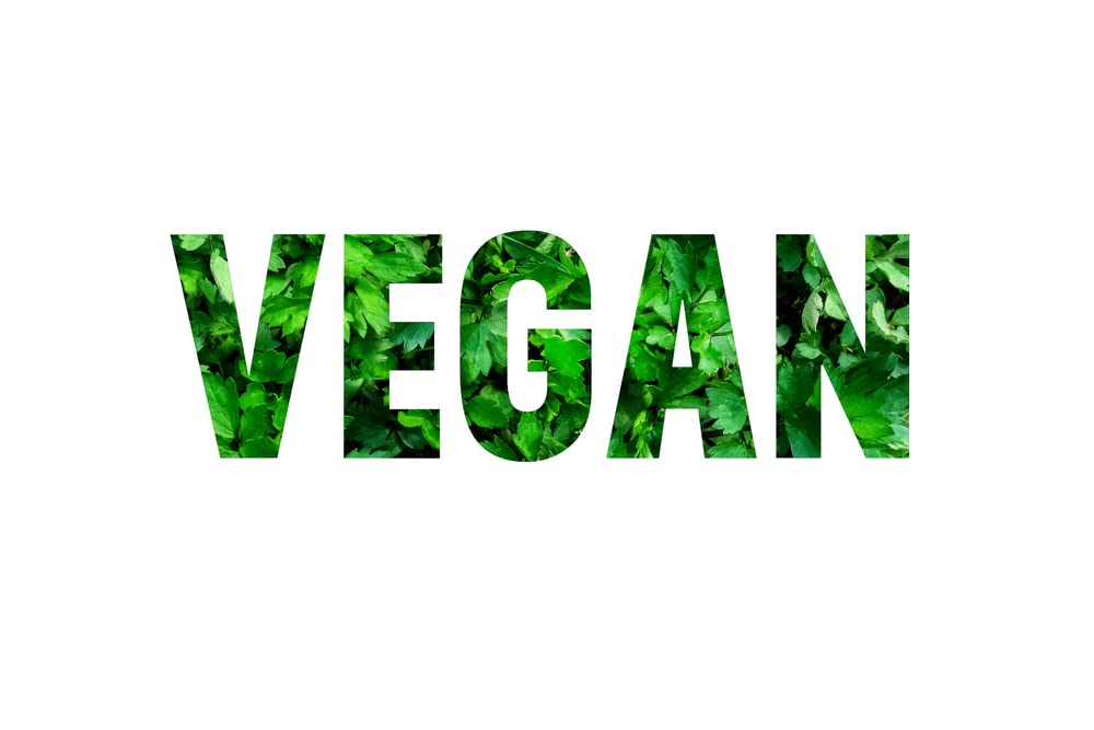 plant-based energy support supplements