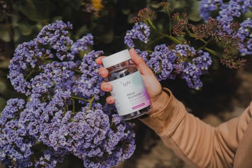 plant-based energy support
