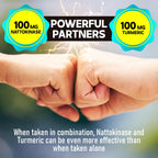 plant-based enzyme supplement benefits