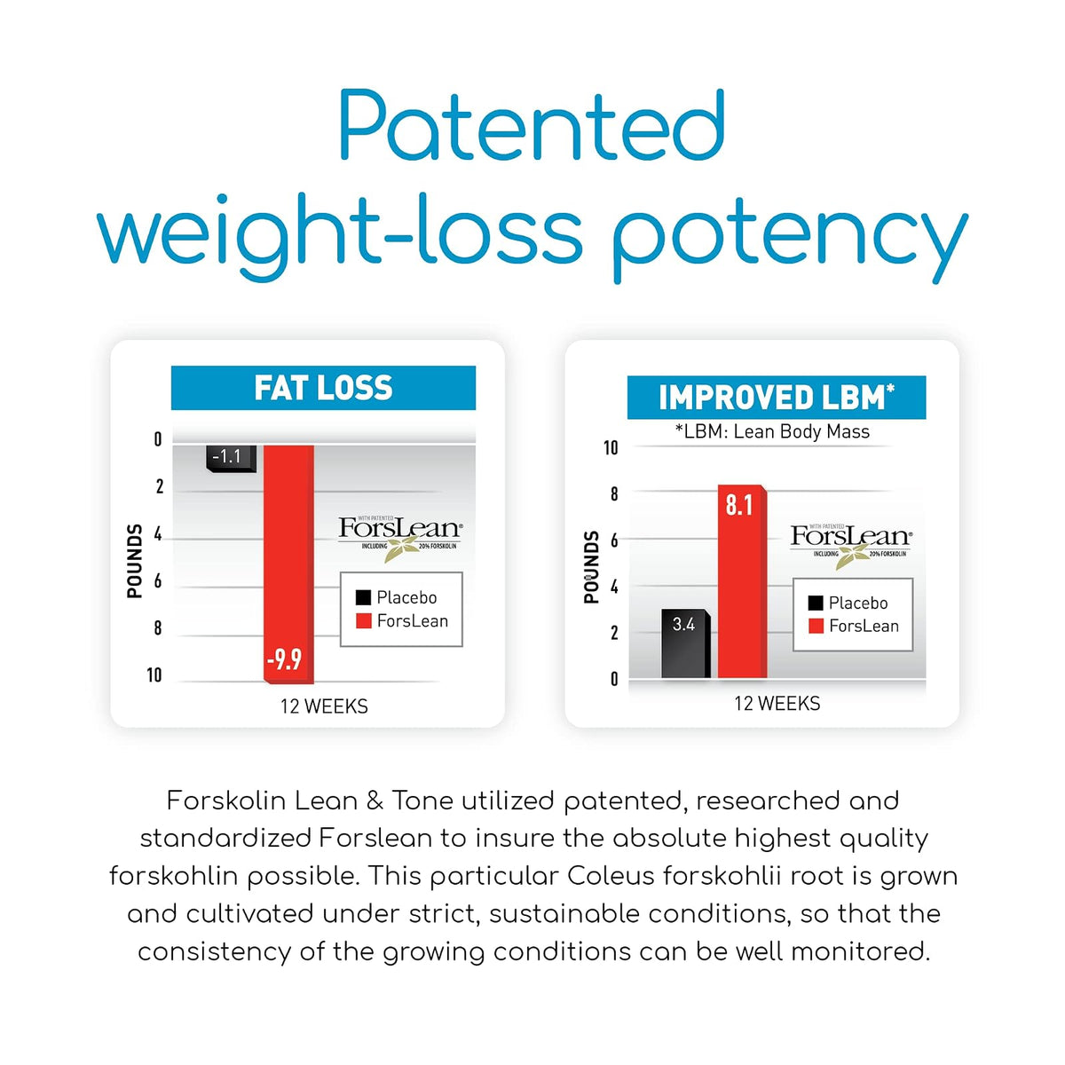 plant-based fat burners for fitness support