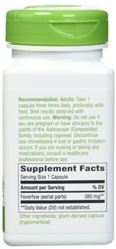 plant-based Feverfew for holistic care