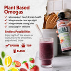 plant-based fish oil alternative