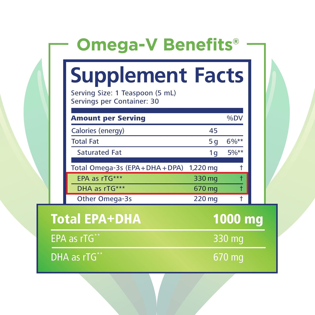 plant-based fish oil omega 3