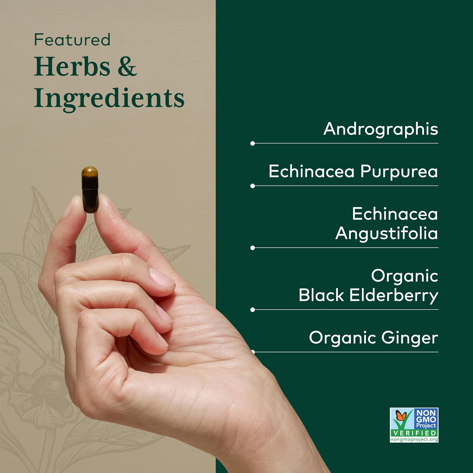 plant-based GAIA Andrographis health supplement
