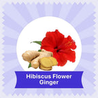 plant based ginger tea for wellness