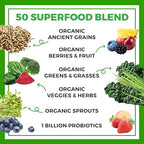 plant-based greens powder supplement