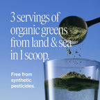 plant-based greens powders for vitality